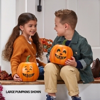 Light-Up Design Your Own Pumpkin Family | Personal Creations