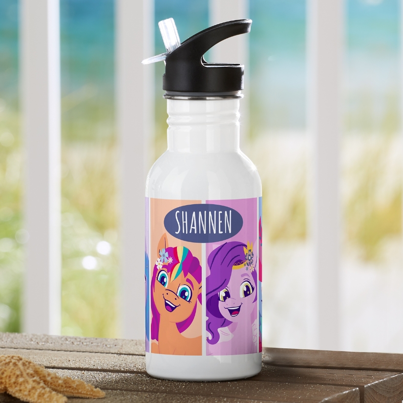 My Little Pony Group Character Panel Water Bottle at Gifts.com