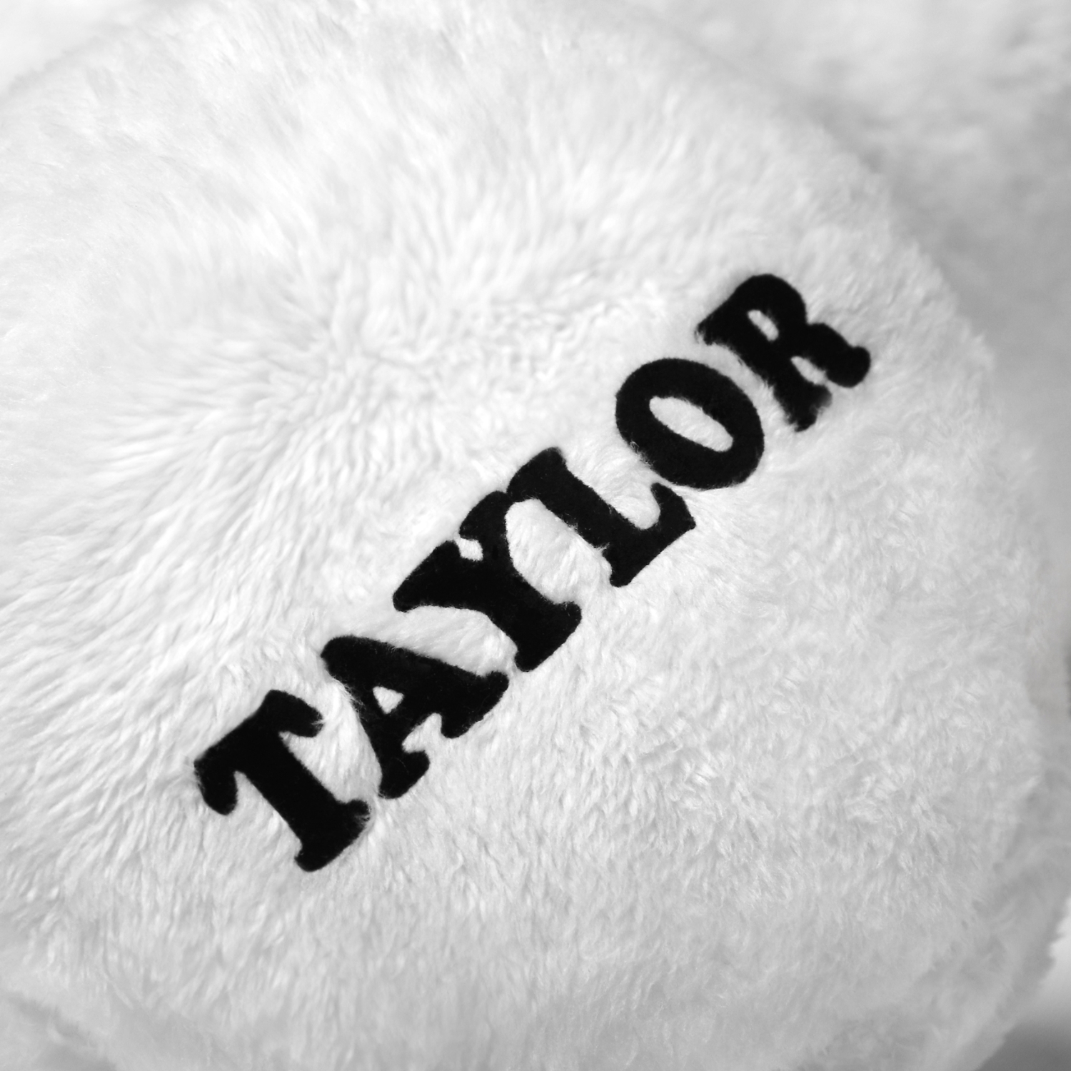 PEANUTS® Snoopy™ & Woodstock Customized Stuffies® at Gifts.com