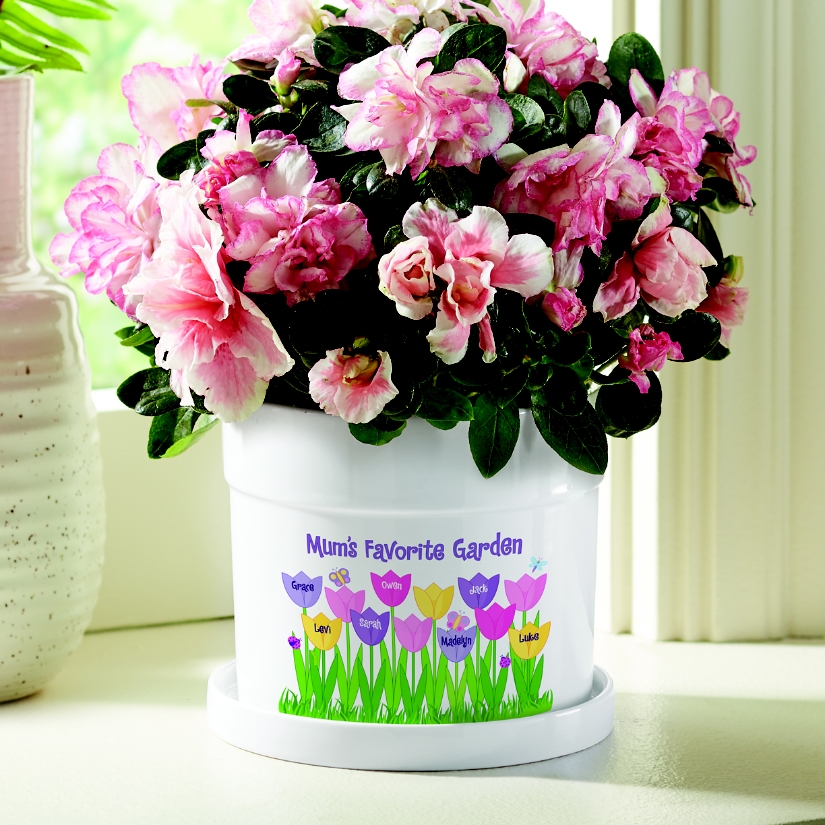 Tulip Garden Flower Pot at Gifts.com